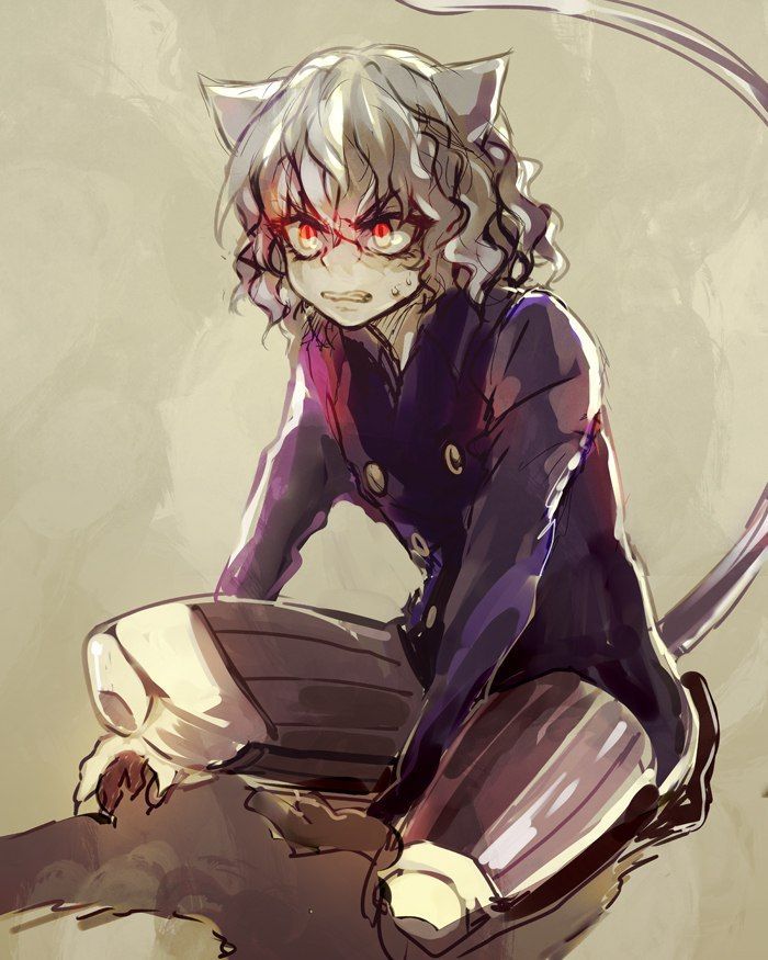 Pitou. | Scrolller
