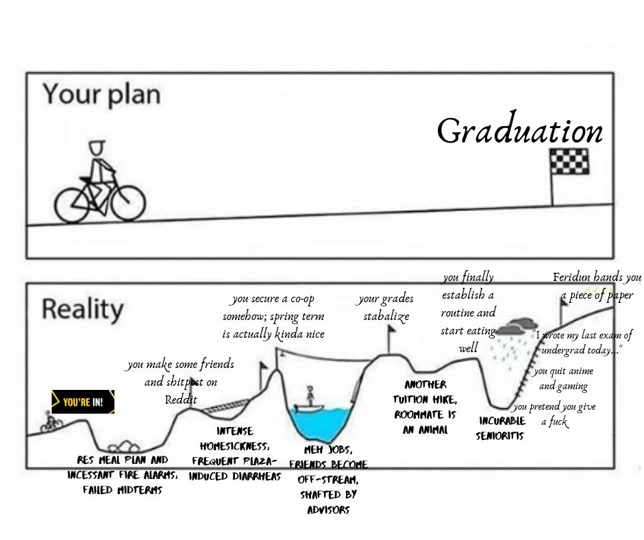Plan vs Reality | Scrolller