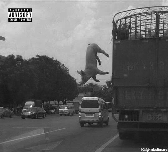 Playboi Carti - Die Lit | Scrolller