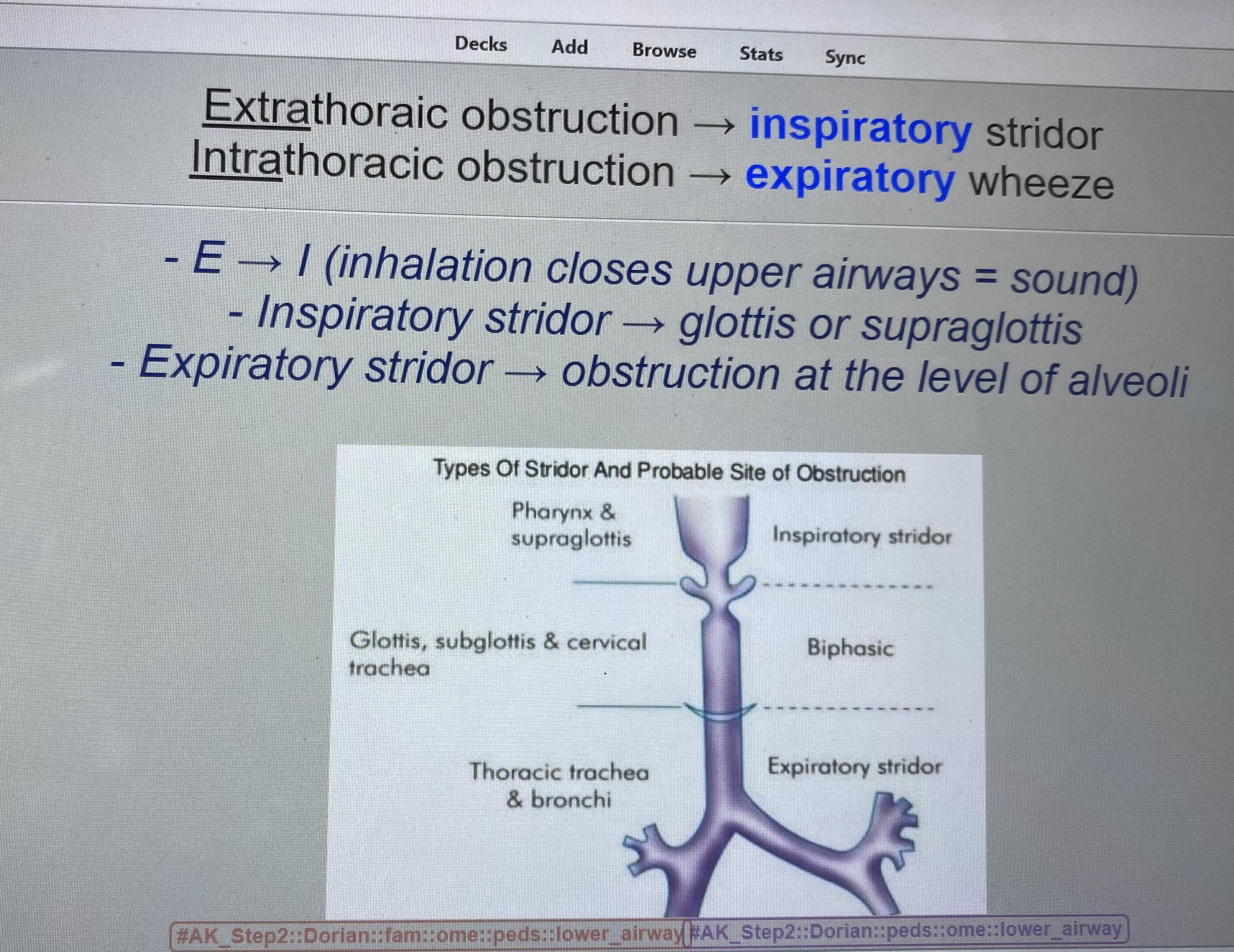 Please explain! | Scrolller