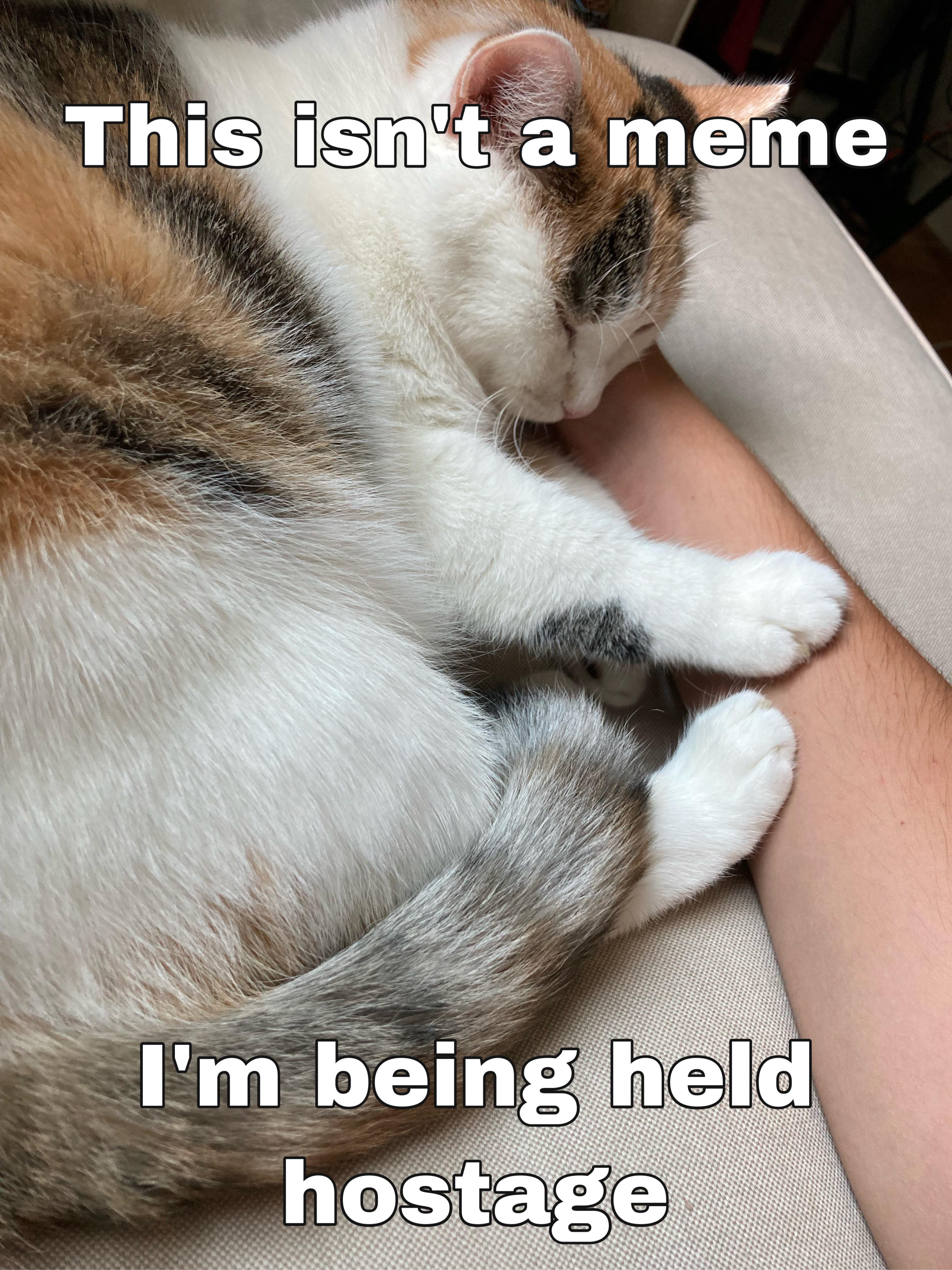 Please help… I mean rule | Scrolller