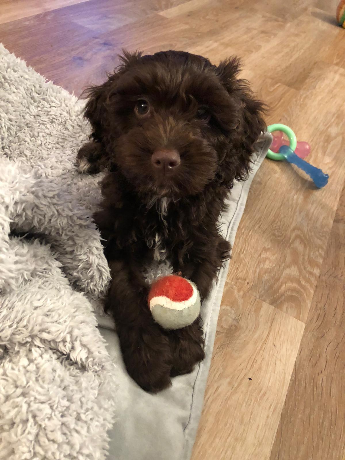 Please play with me | Scrolller