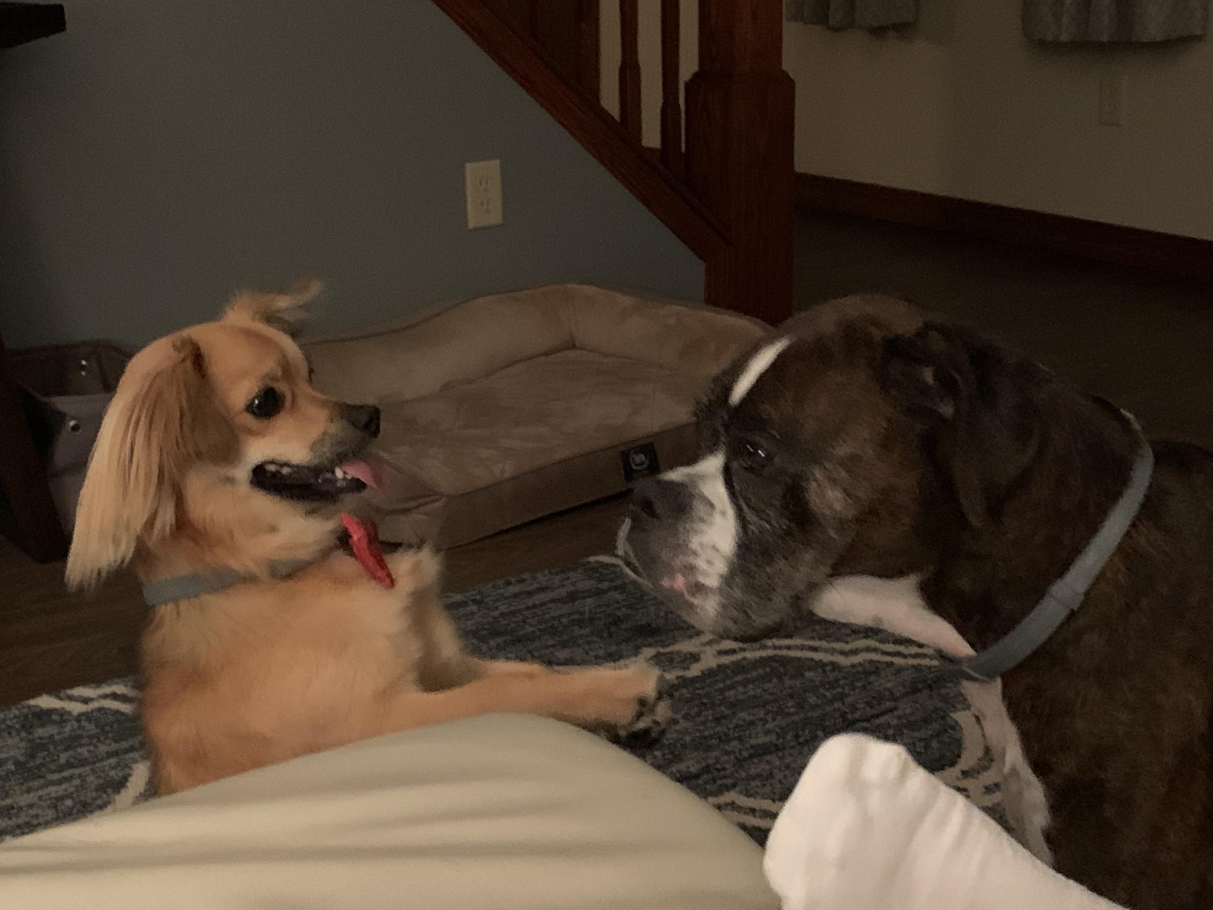 Please play with me | Scrolller