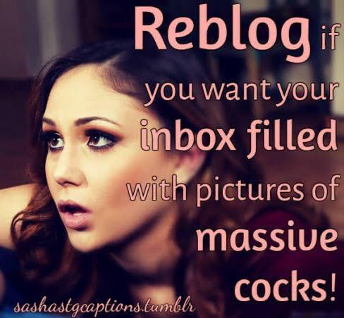 Please please please | Scrolller