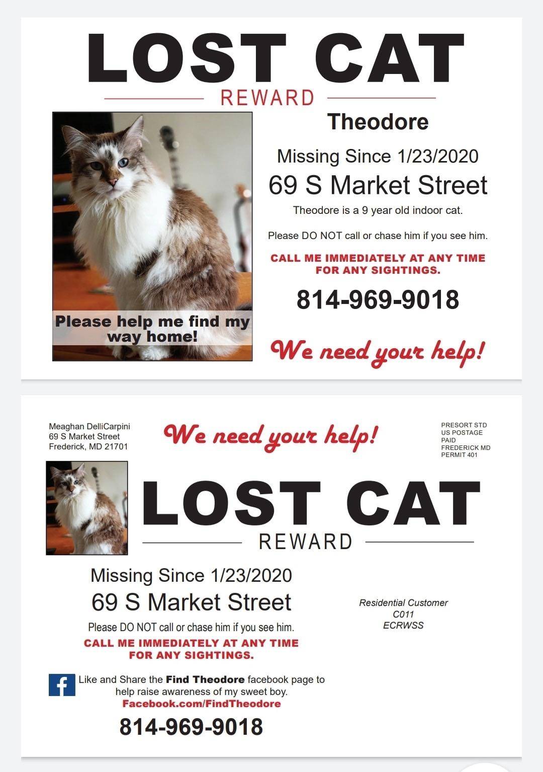 Please share where ever possible. $1000 reward. | Scrolller