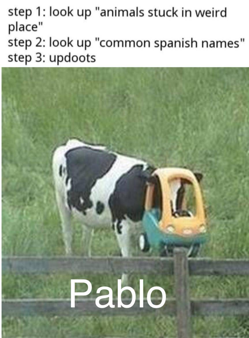 Please spread the word | Scrolller