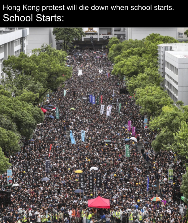 Pls Upvote Scrolller