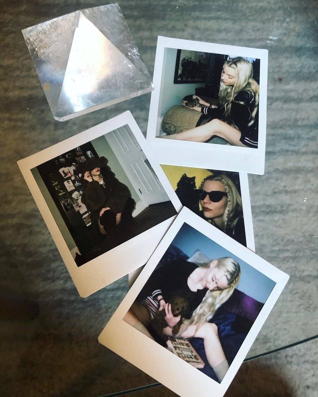 Polaroids | Scrolller