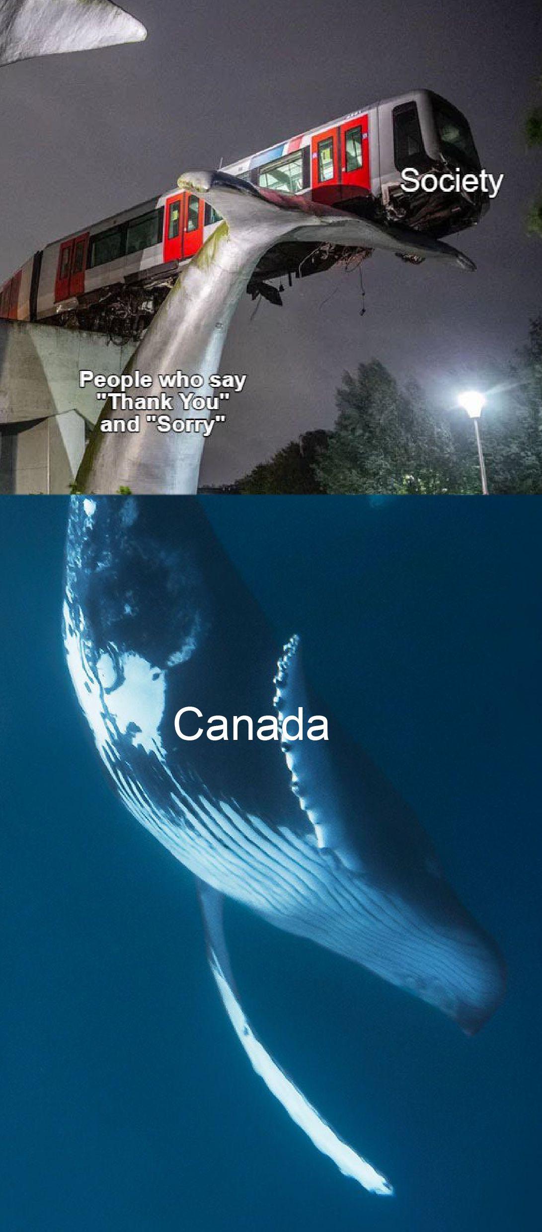 Polite level 100 | Scrolller