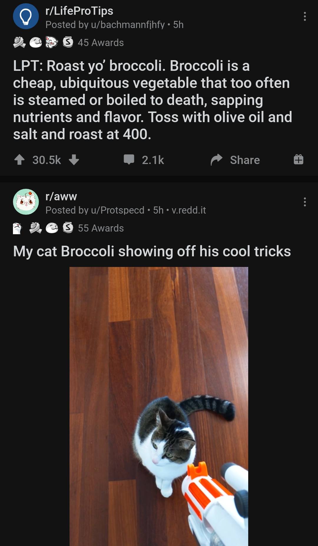 Poor Broccoli | Scrolller