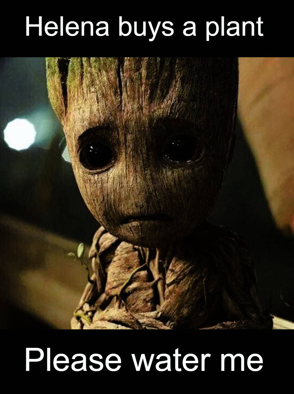 Poor Groot | Scrolller