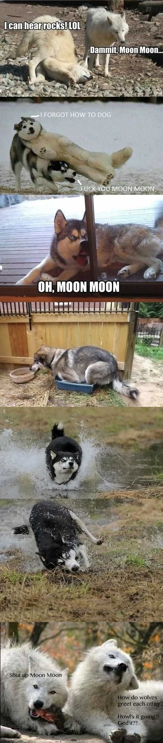 Poor little moon moon😔 | Scrolller