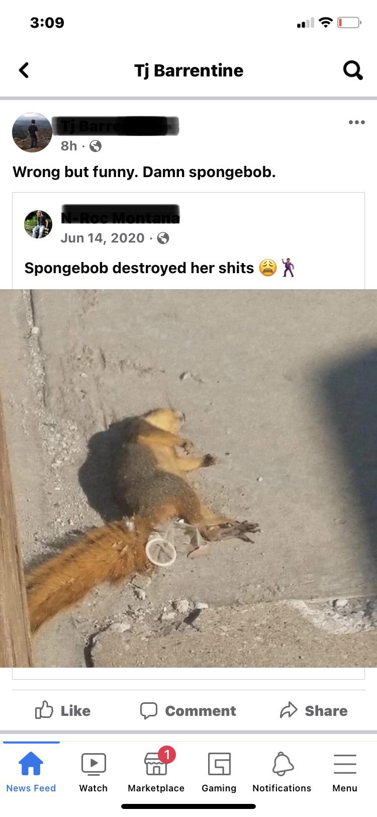 Poor squirrel. Very disgusting people in the comments section. | Scrolller