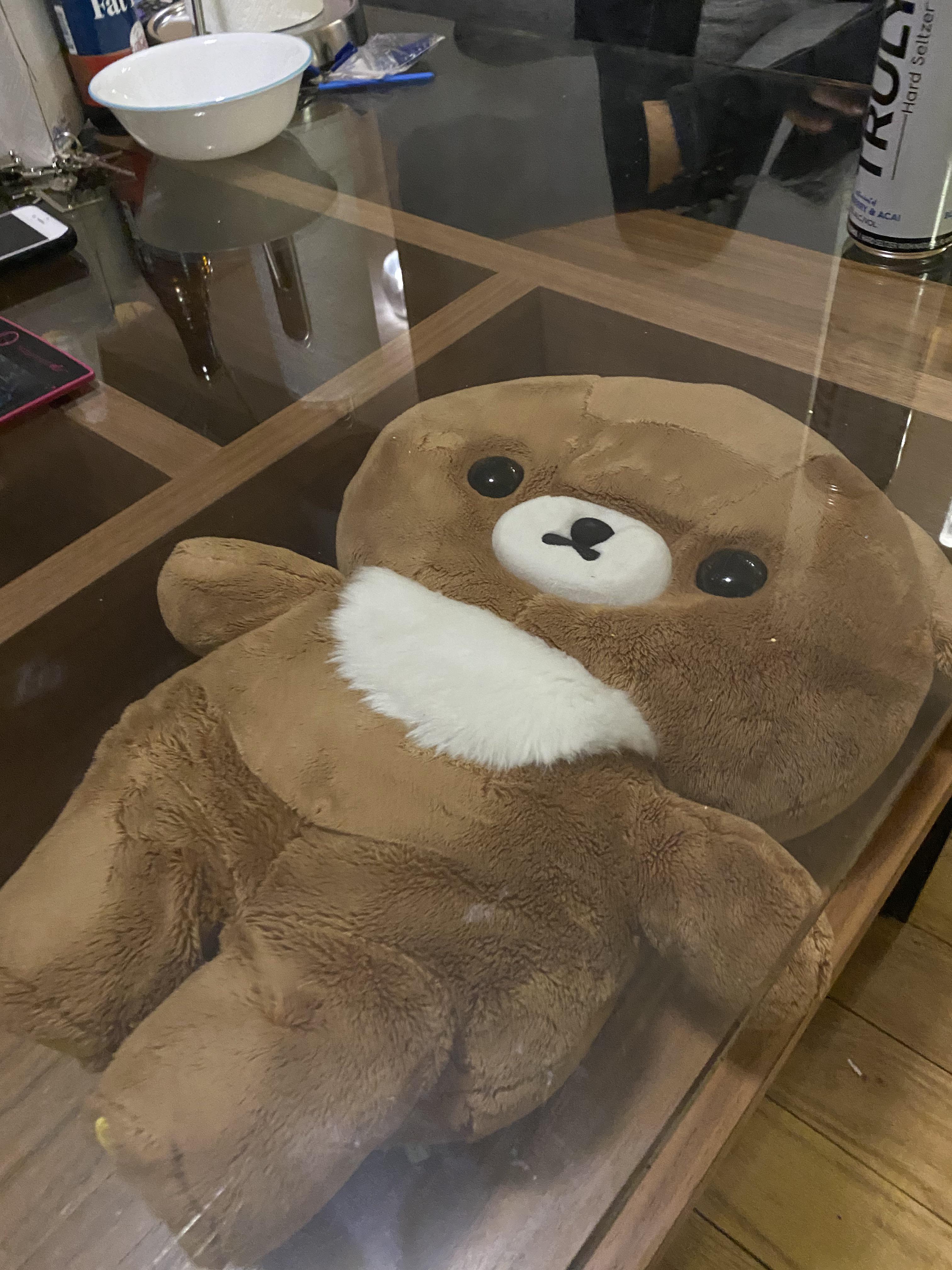 Poor squished boy | Scrolller