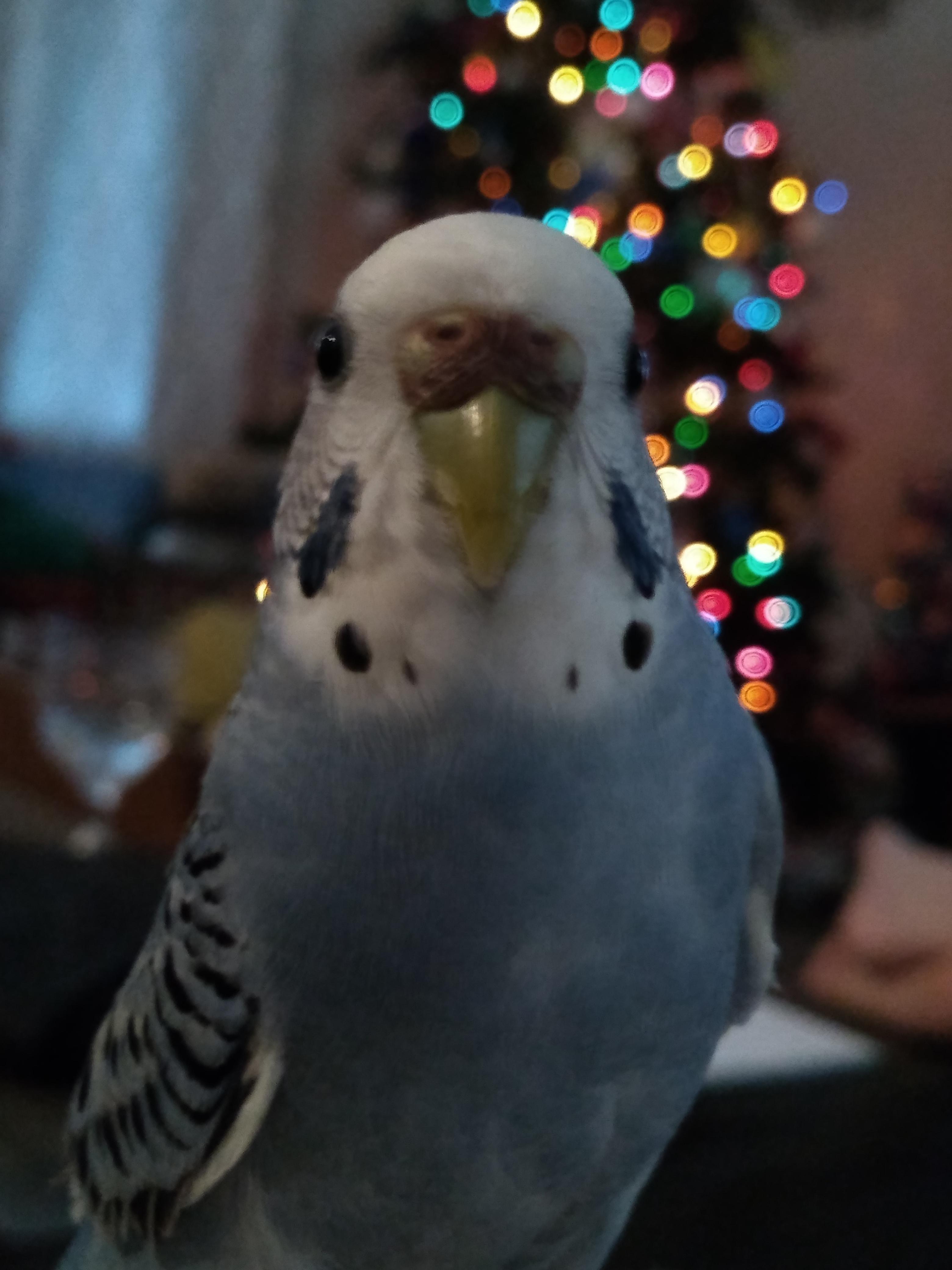 Posing beautiful | Scrolller