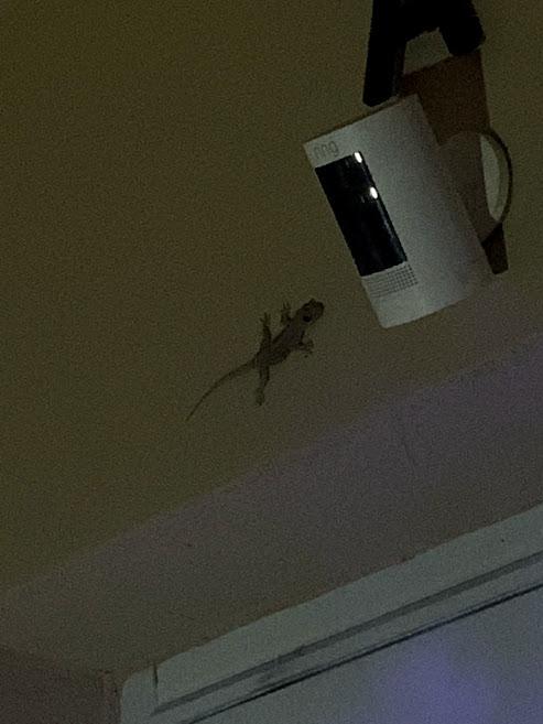 Posing for the Camera | Scrolller