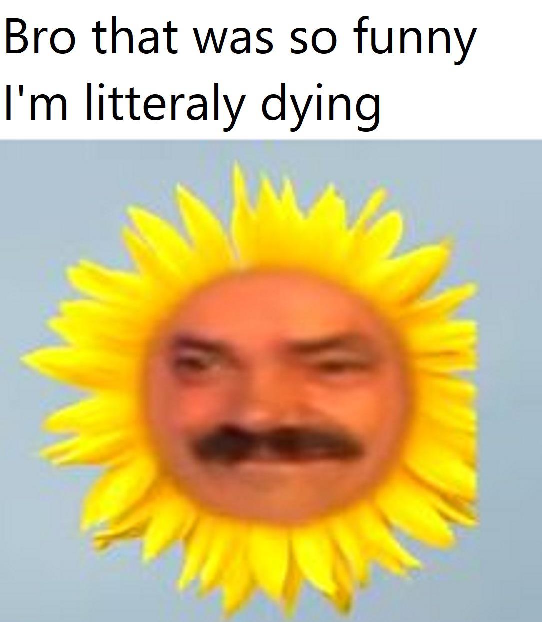 Possible meme template? | Scrolller