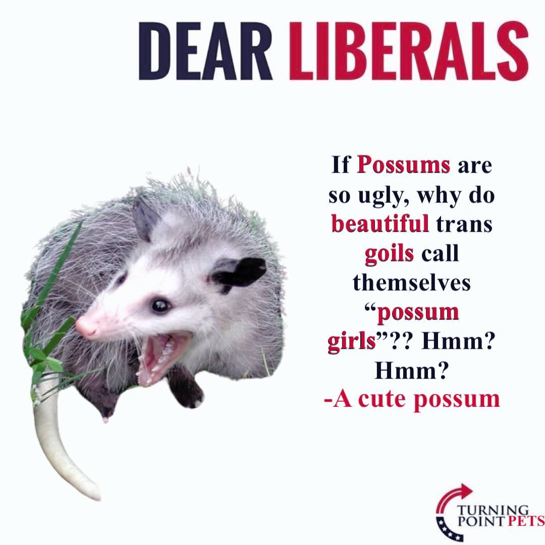 Possum Haters DESTROYED with FACTS and LOGIC | Scrolller