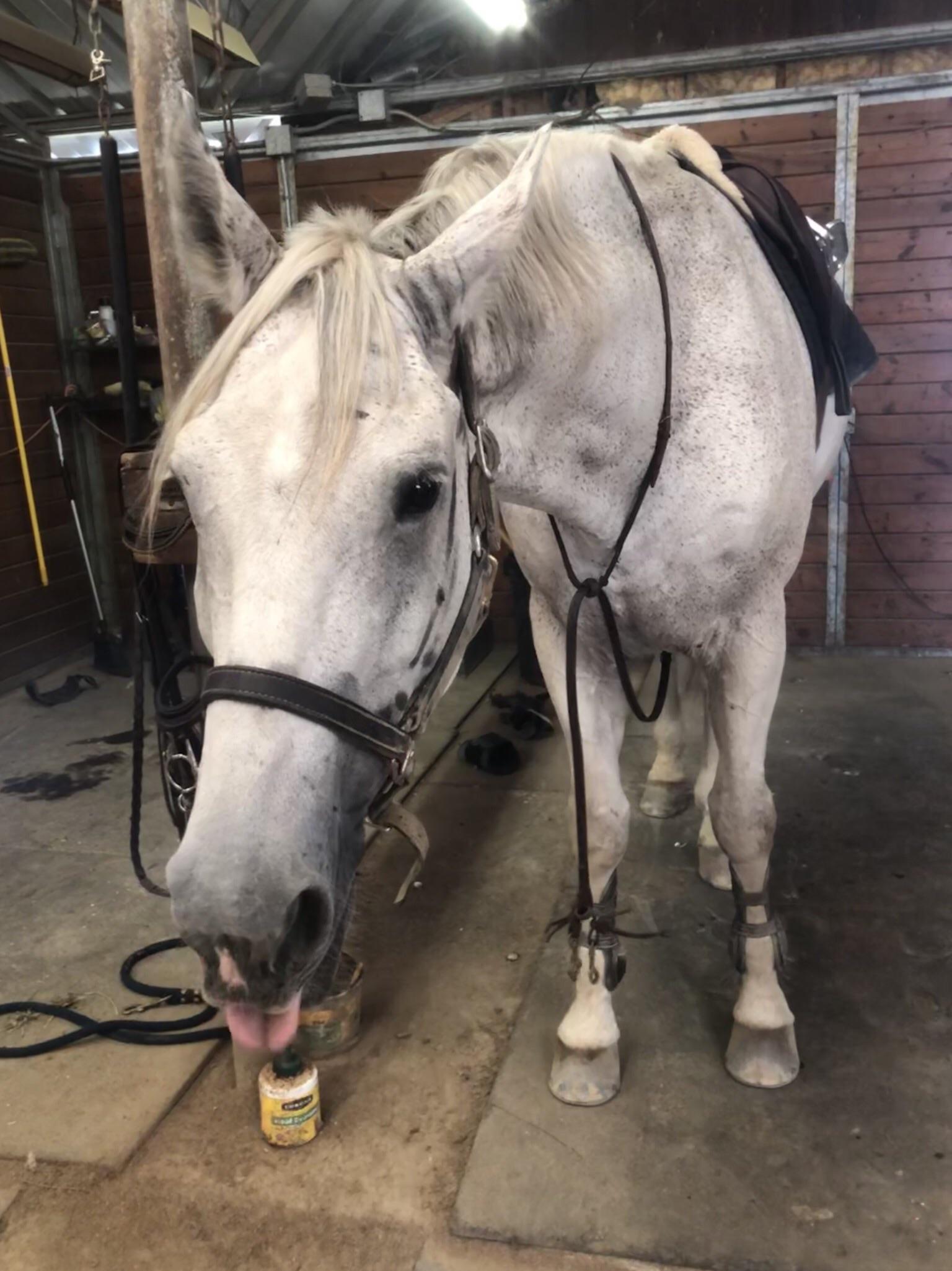 Post ride blup | Scrolller