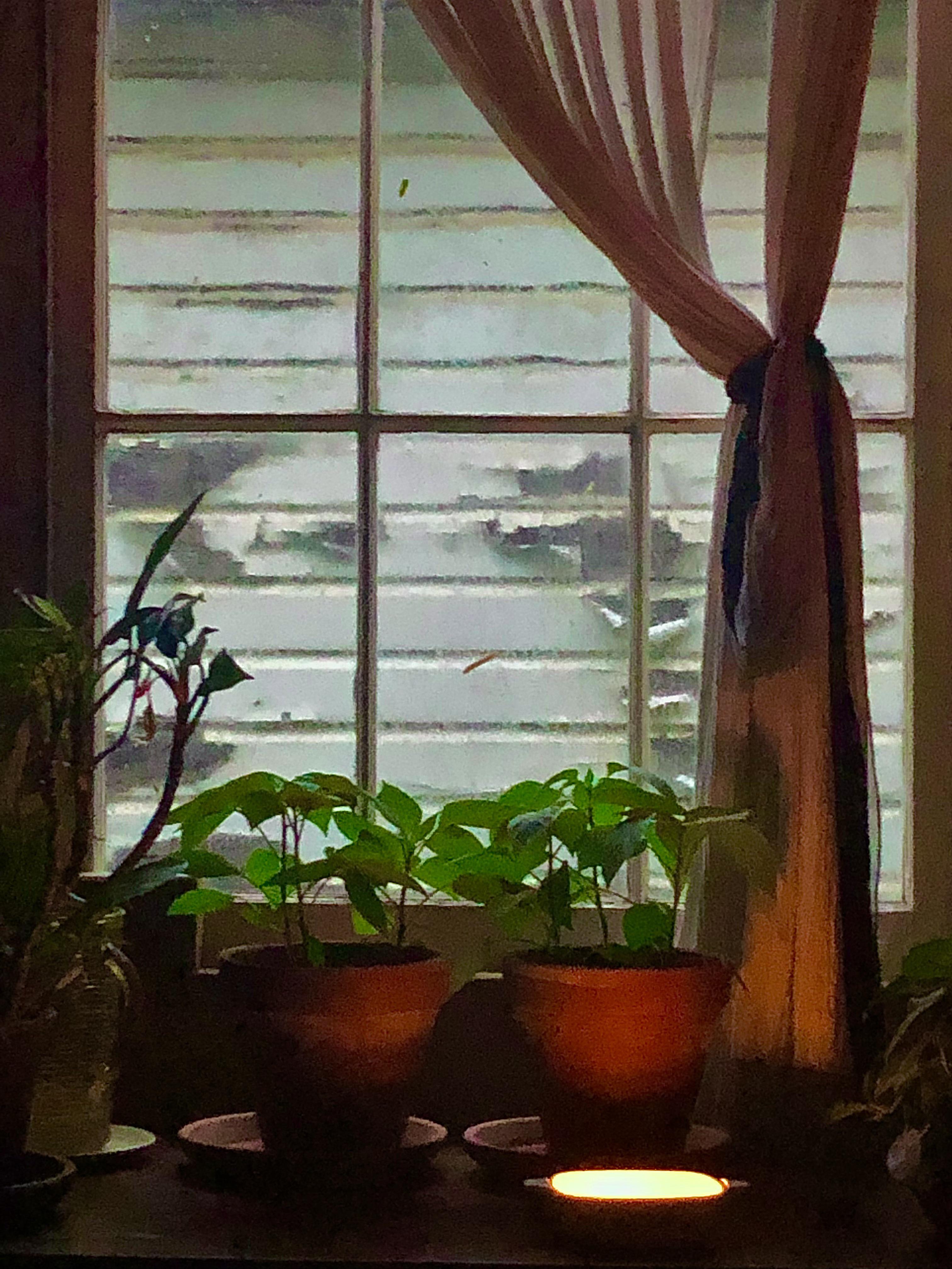 Post Storm. | Scrolller