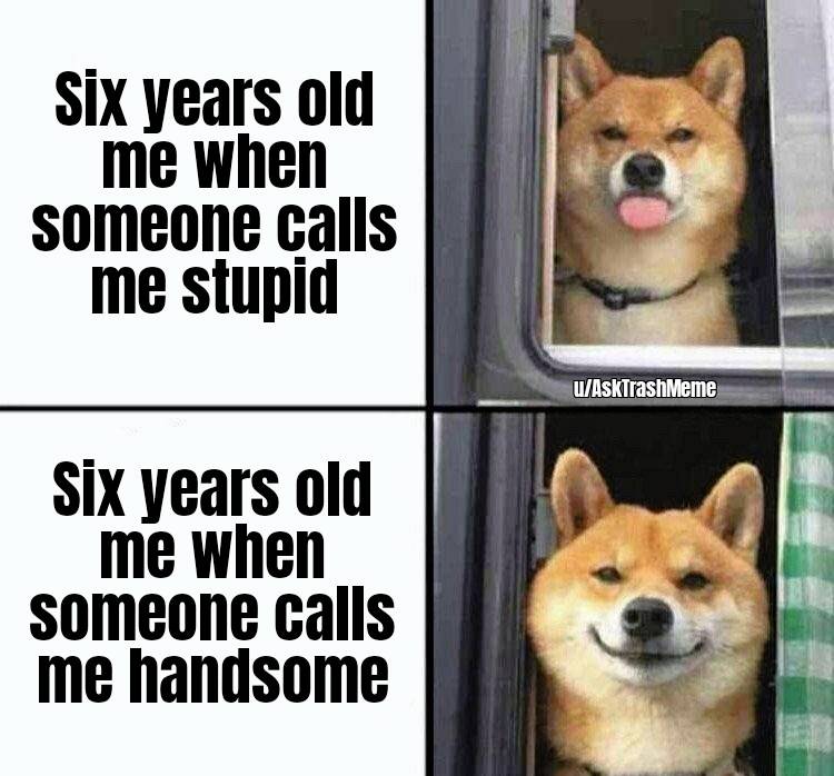 Posting memes until I get my master's degree day 159 meme 298 | Scrolller