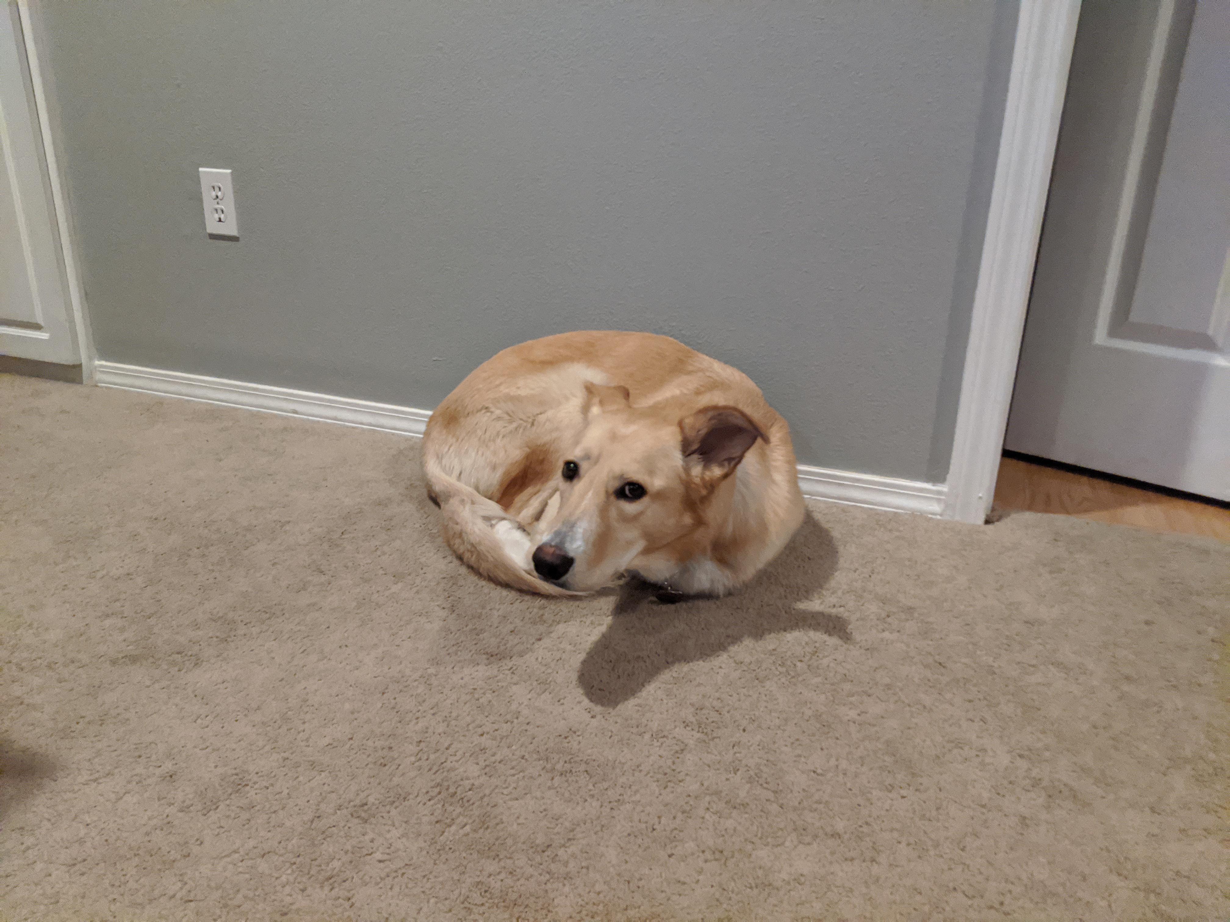 Potato loaf | Scrolller