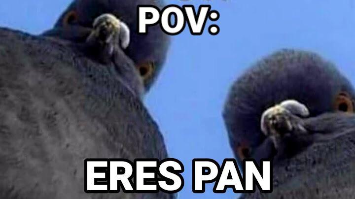 Pov Scrolller