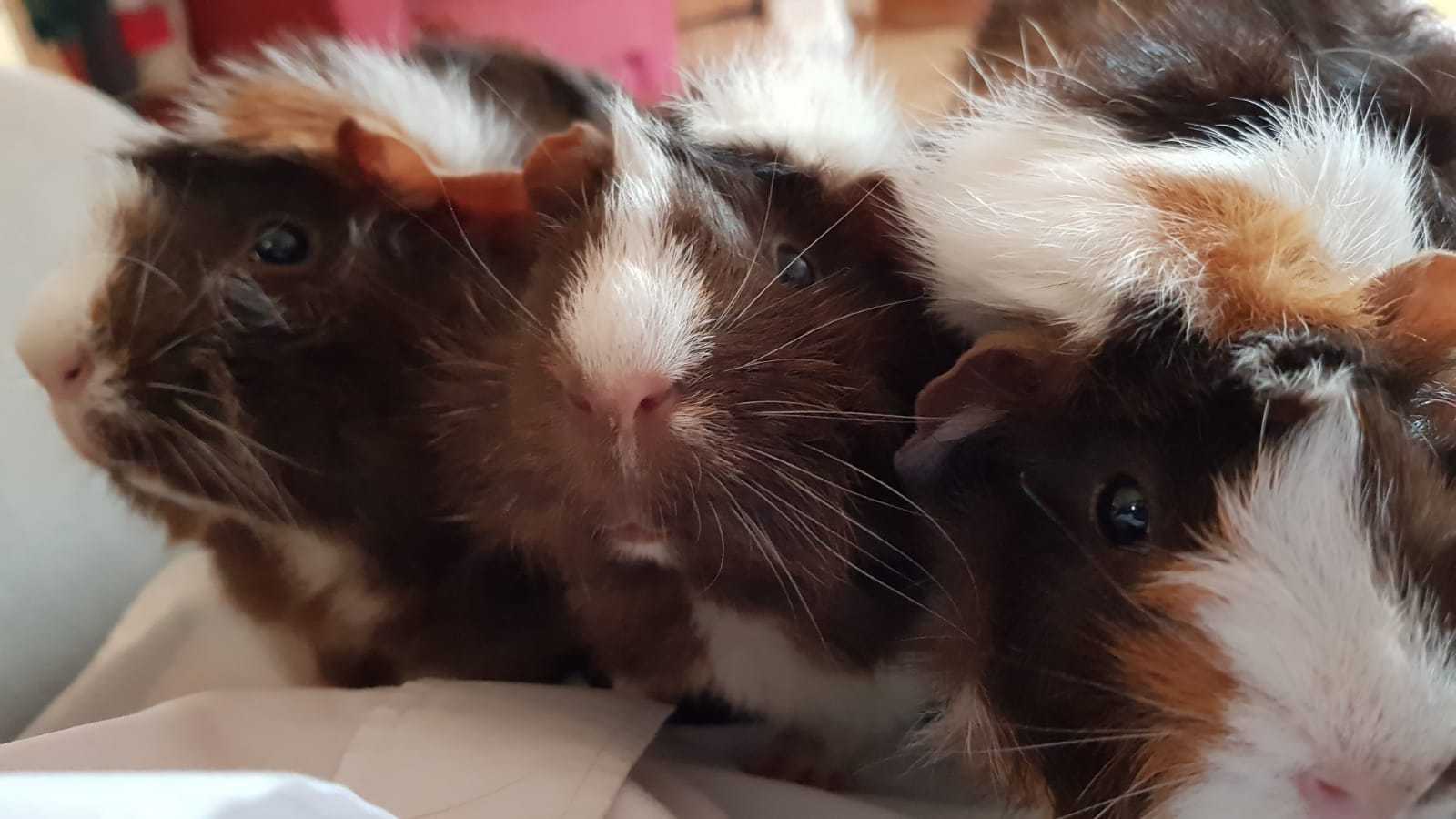 POV: You are salad | Scrolller