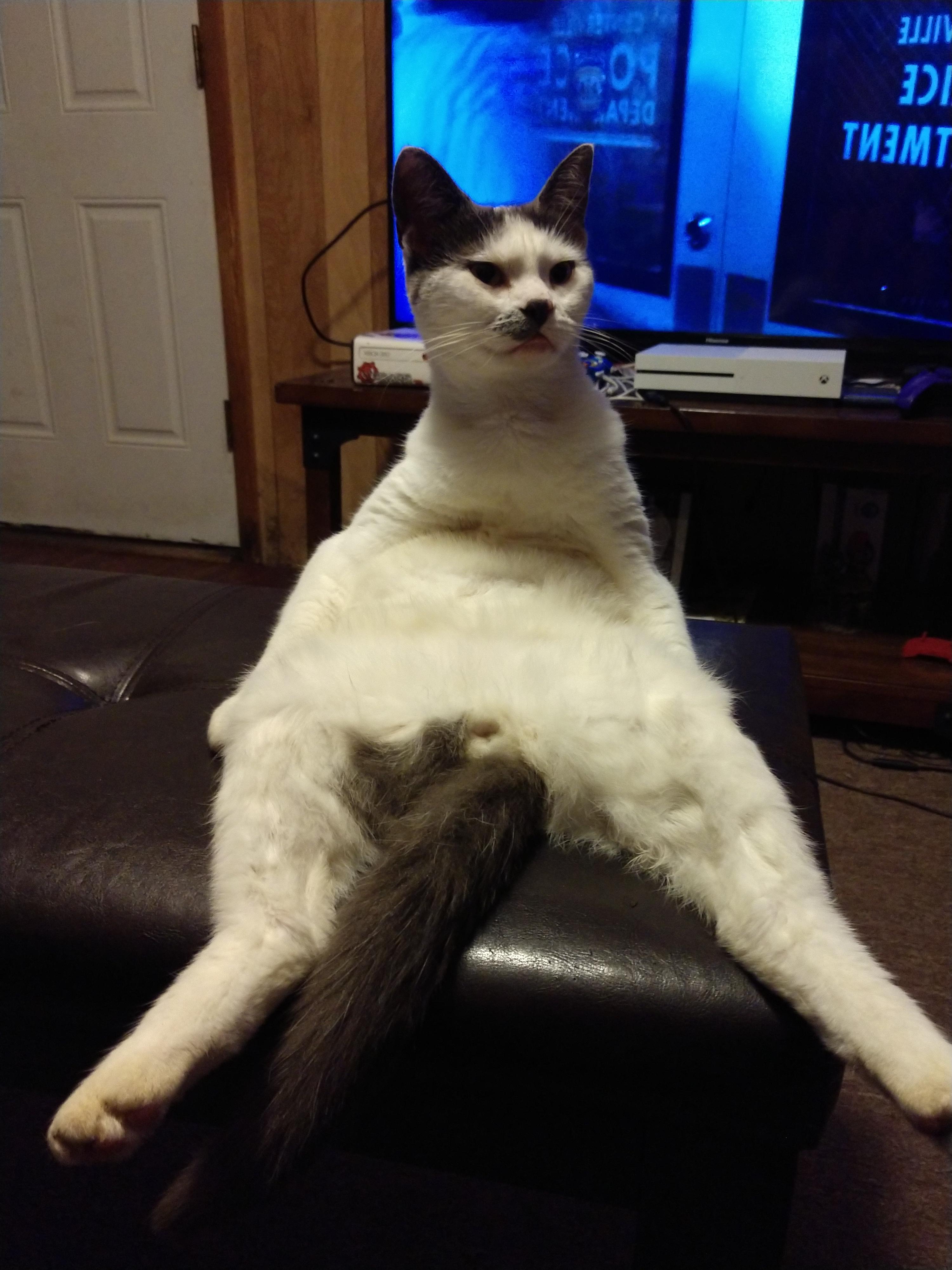 Power stance | Scrolller