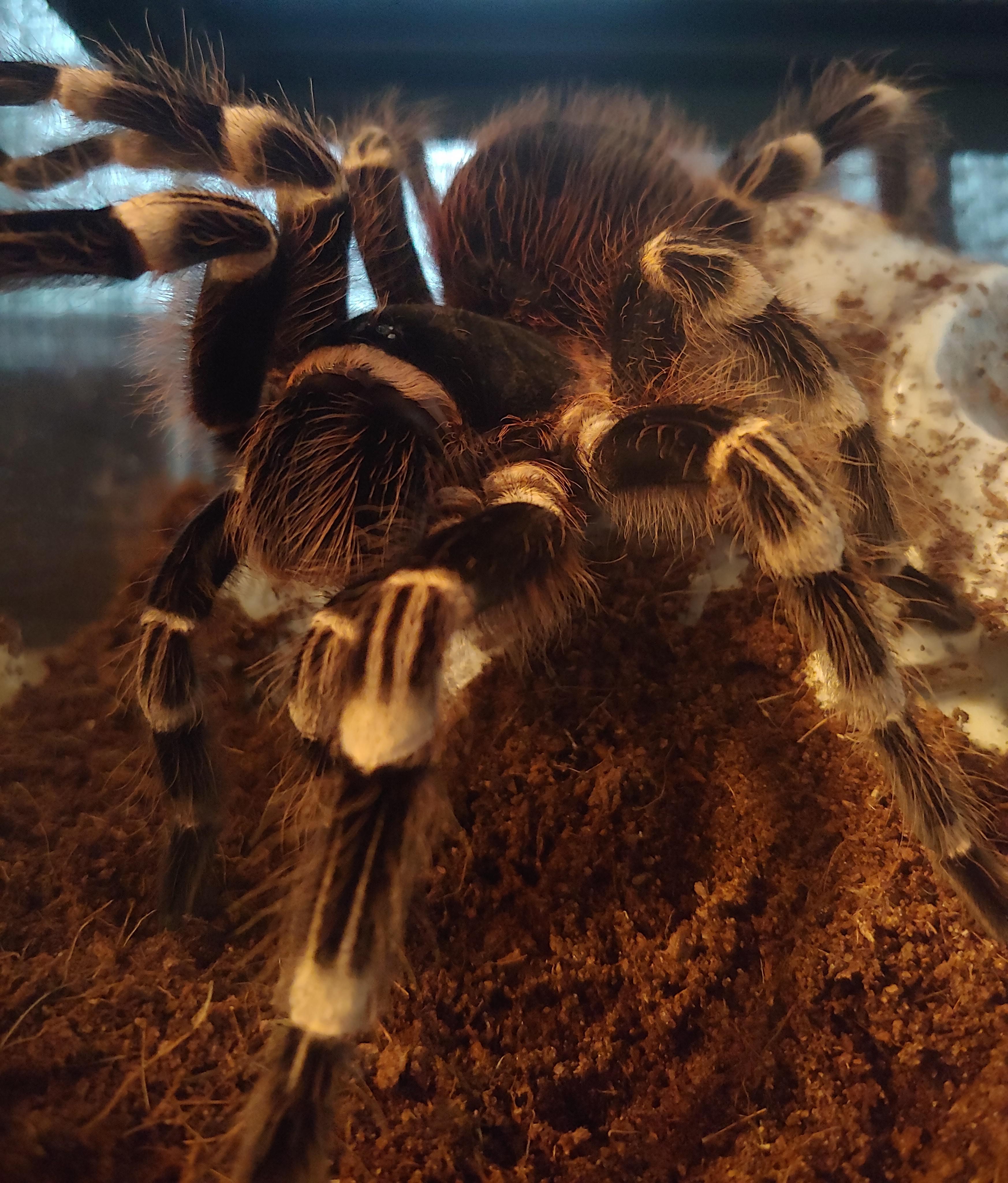 Power Stance | Scrolller