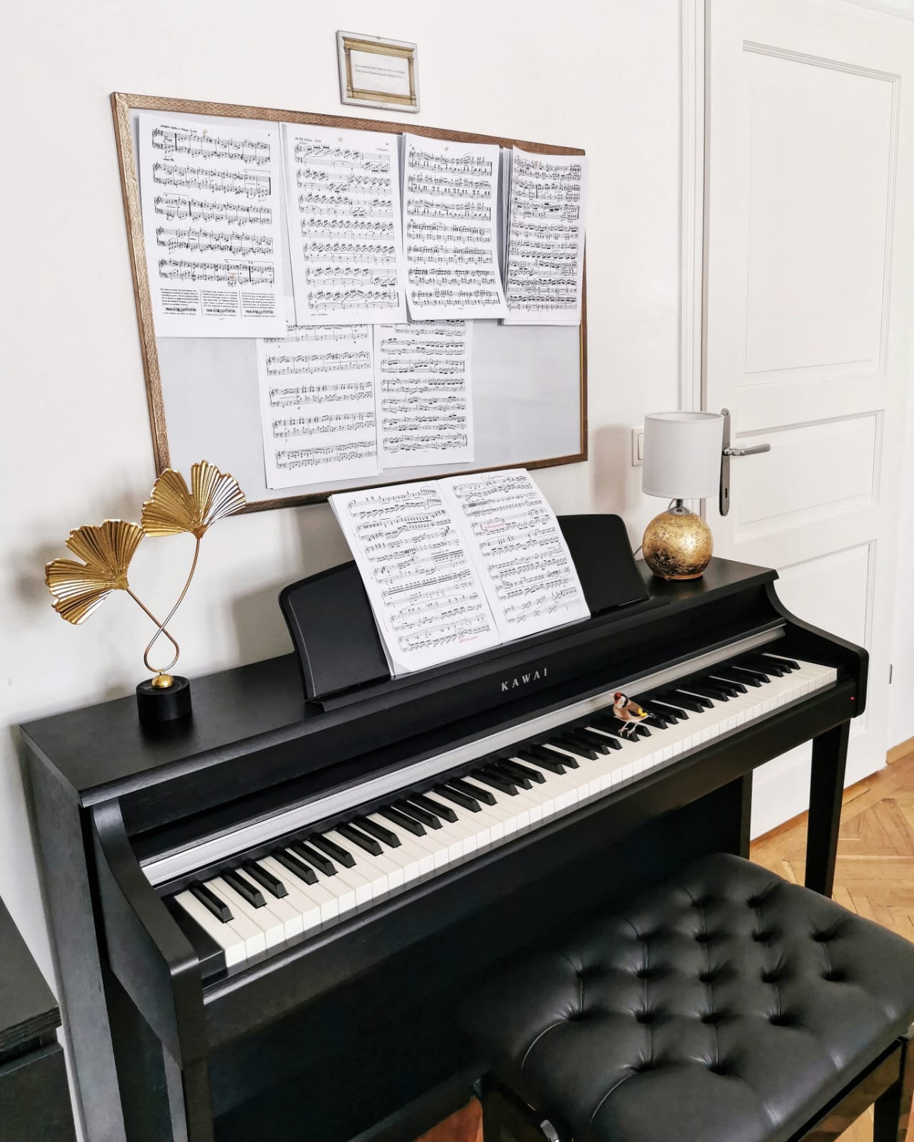 Practice space. | Scrolller