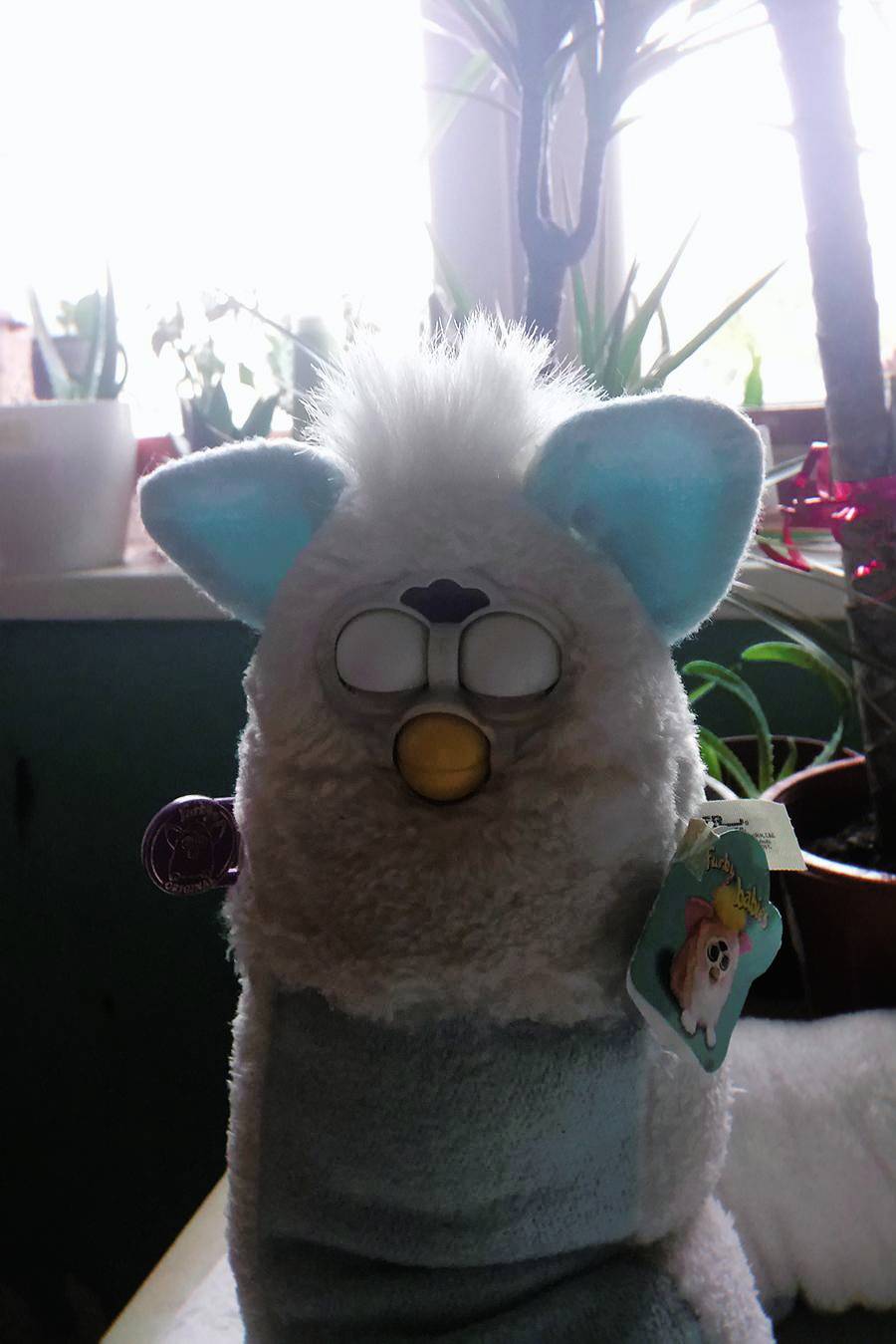 Precious | Scrolller