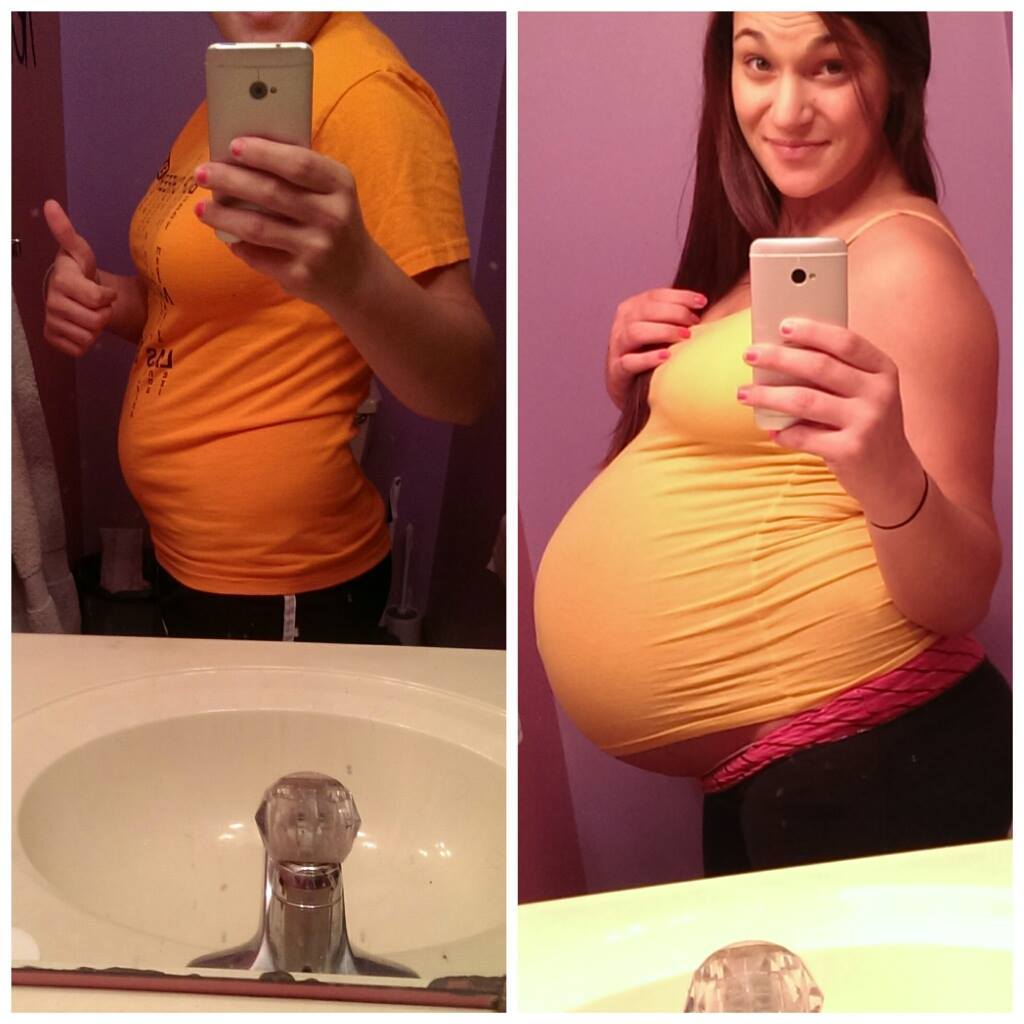 Preggo From Week 10 To Week 41 Preg Scrolller