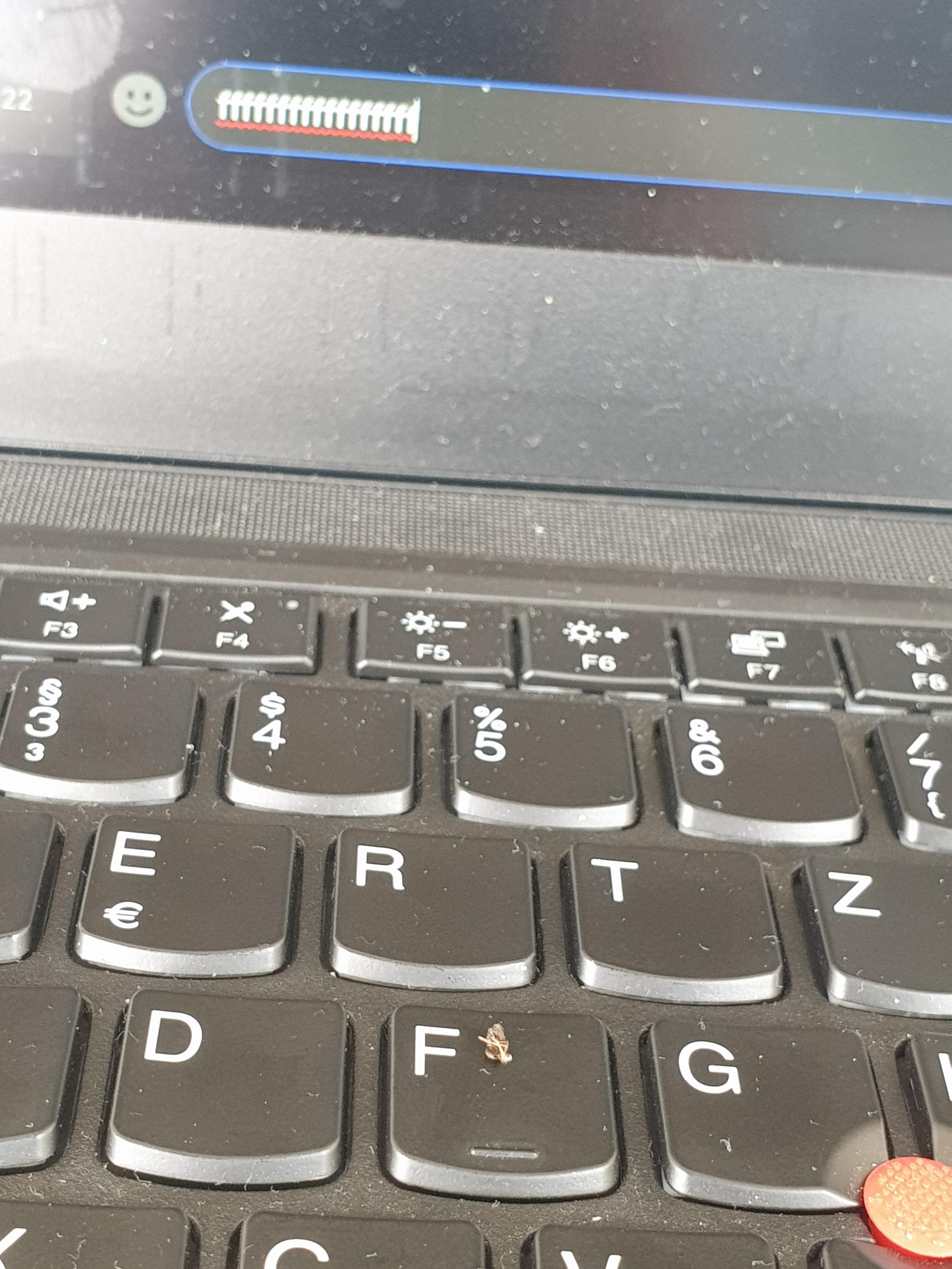 Press f to pay respect. | Scrolller