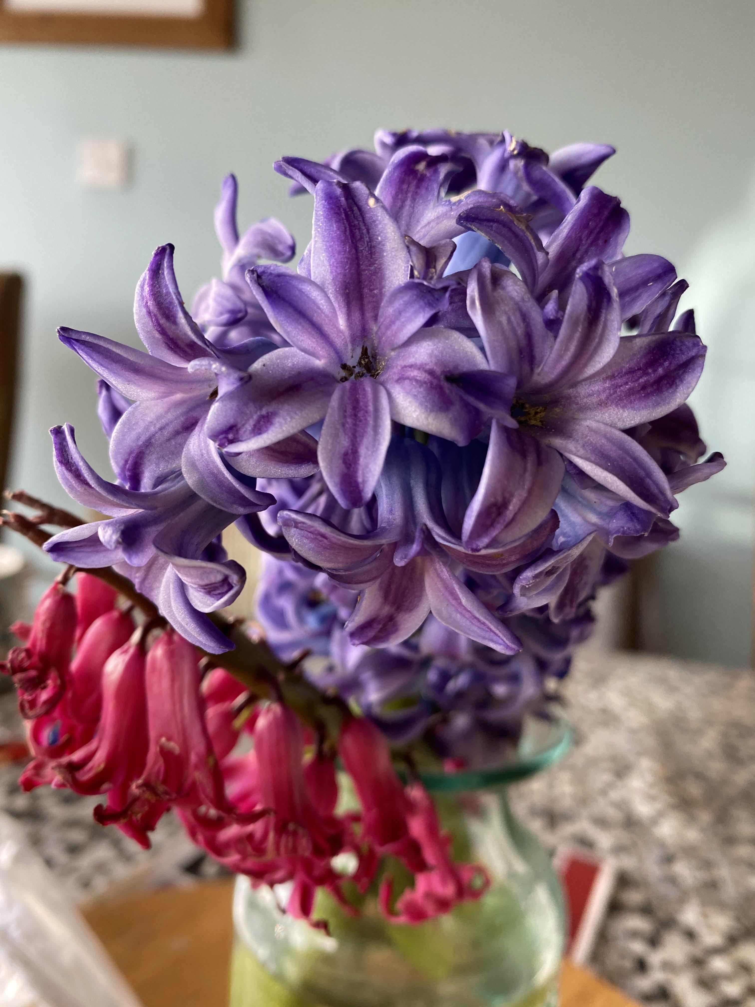 Pretty flowers | Scrolller