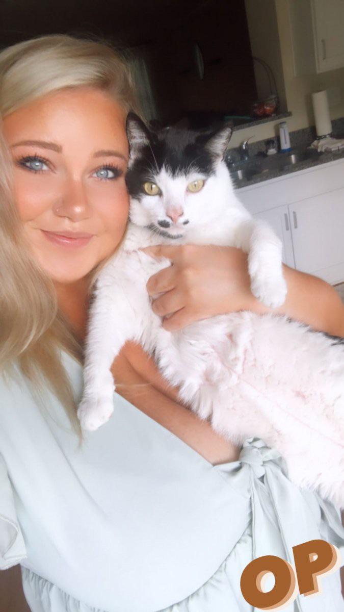 Here kitty kitty | Scrolller