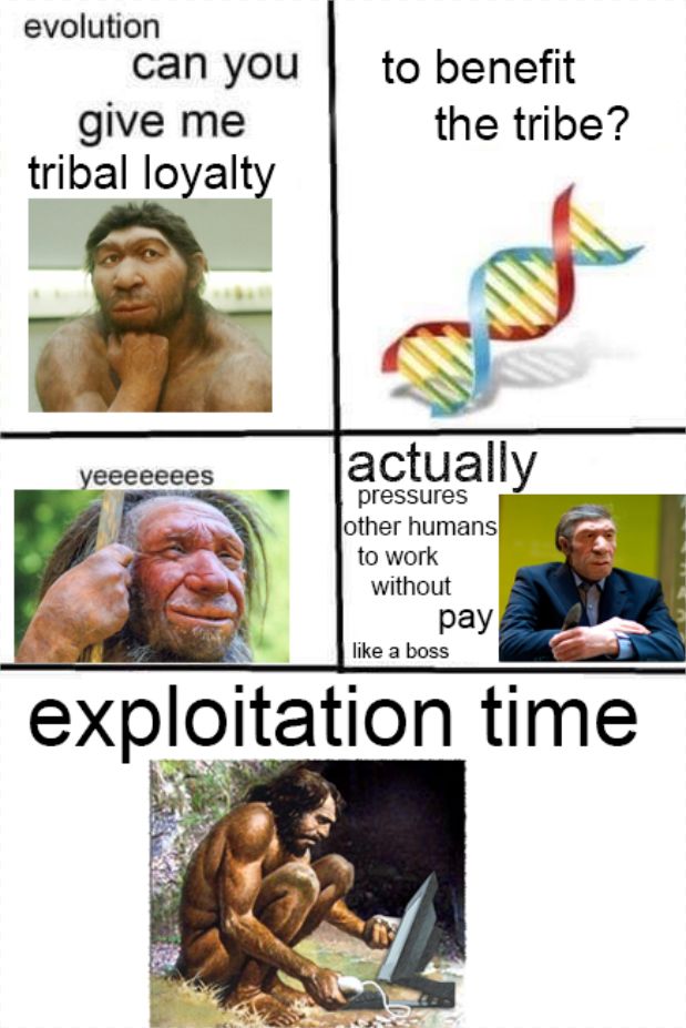 Primate Brain Work Good | Scrolller