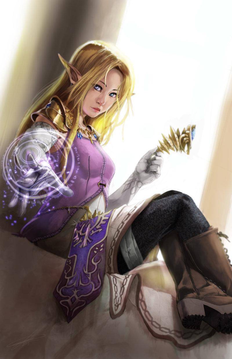 Princess Zelda, Holder of Wisdom | Scrolller