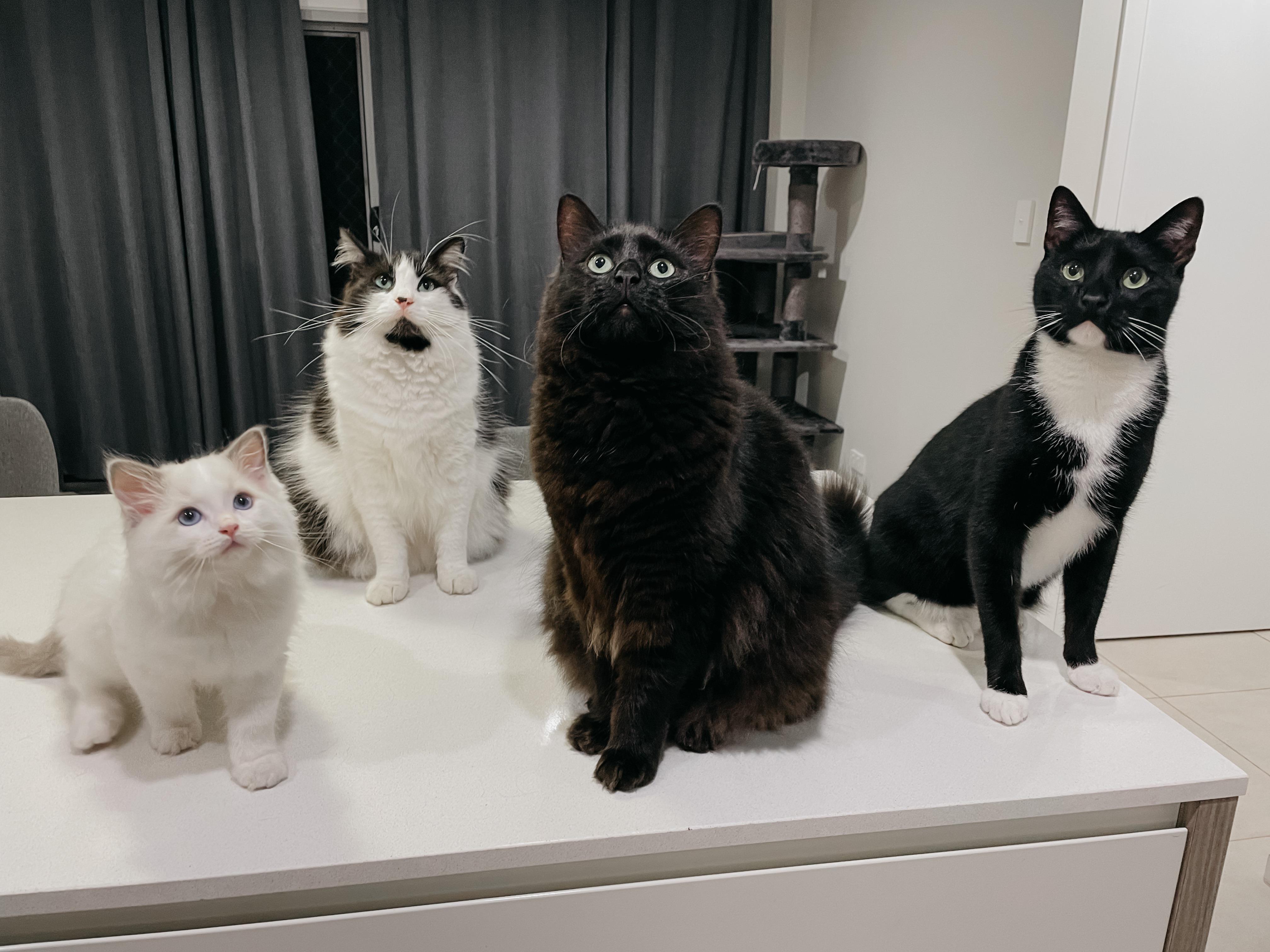 Printer has finally run out of ink. | Scrolller