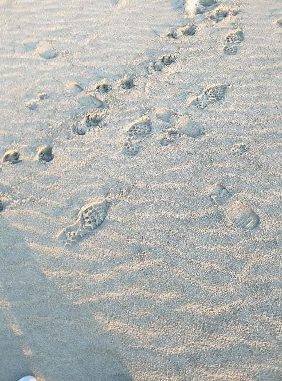 Prints in the sand | Scrolller