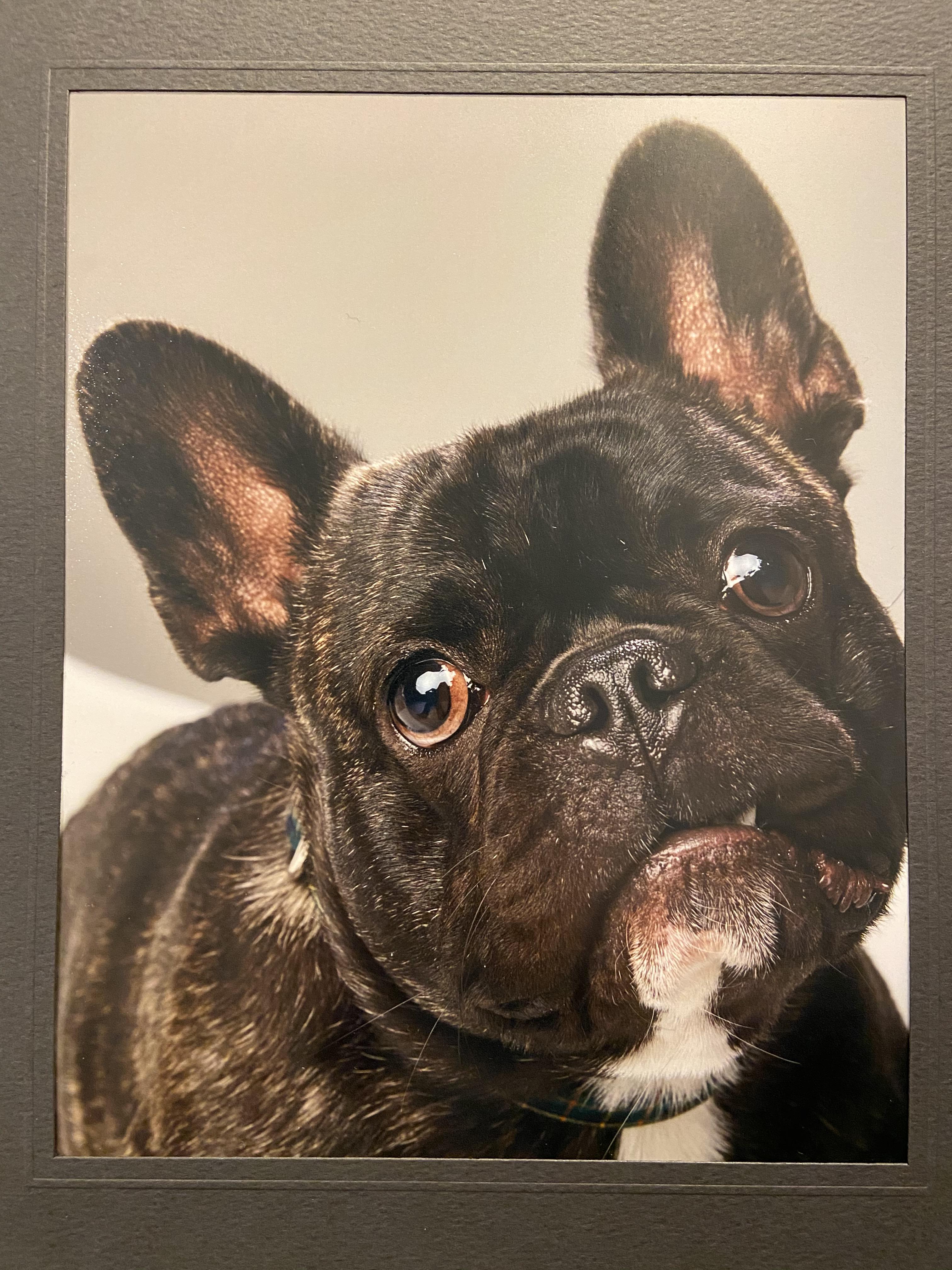 Professional photoshoot ended in finally capturing his snaggle tooth | Scrolller