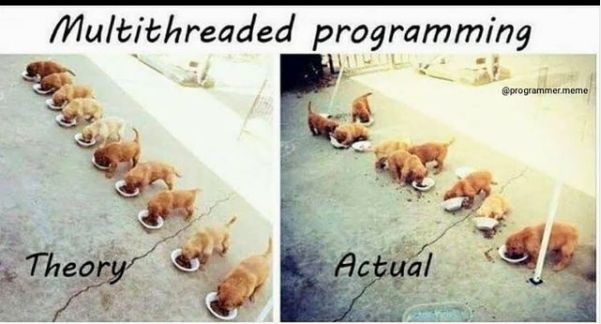 Programming | Scrolller