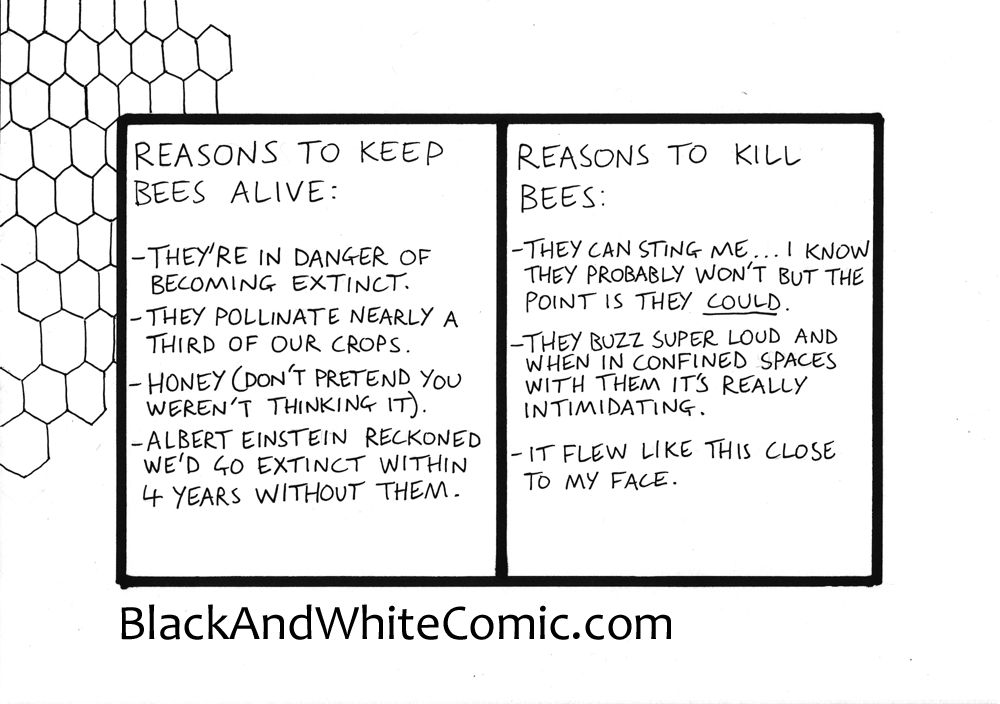 "pros" and cons of killing bees | Scrolller