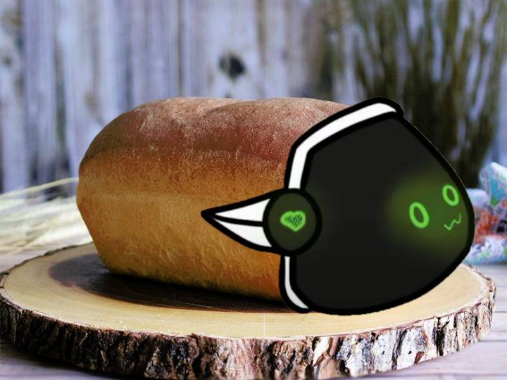 protoloaf_irl | Scrolller