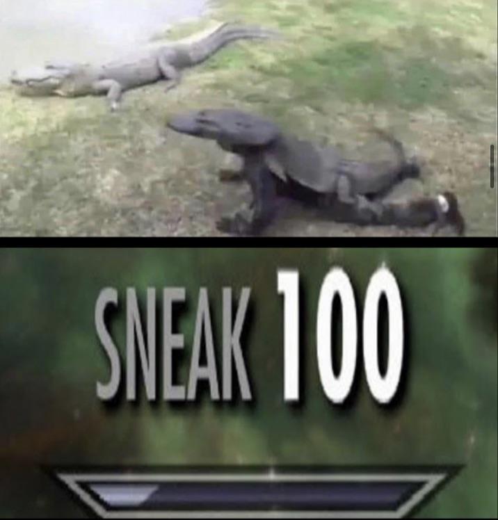 Proudly made on Google Docs | Scrolller