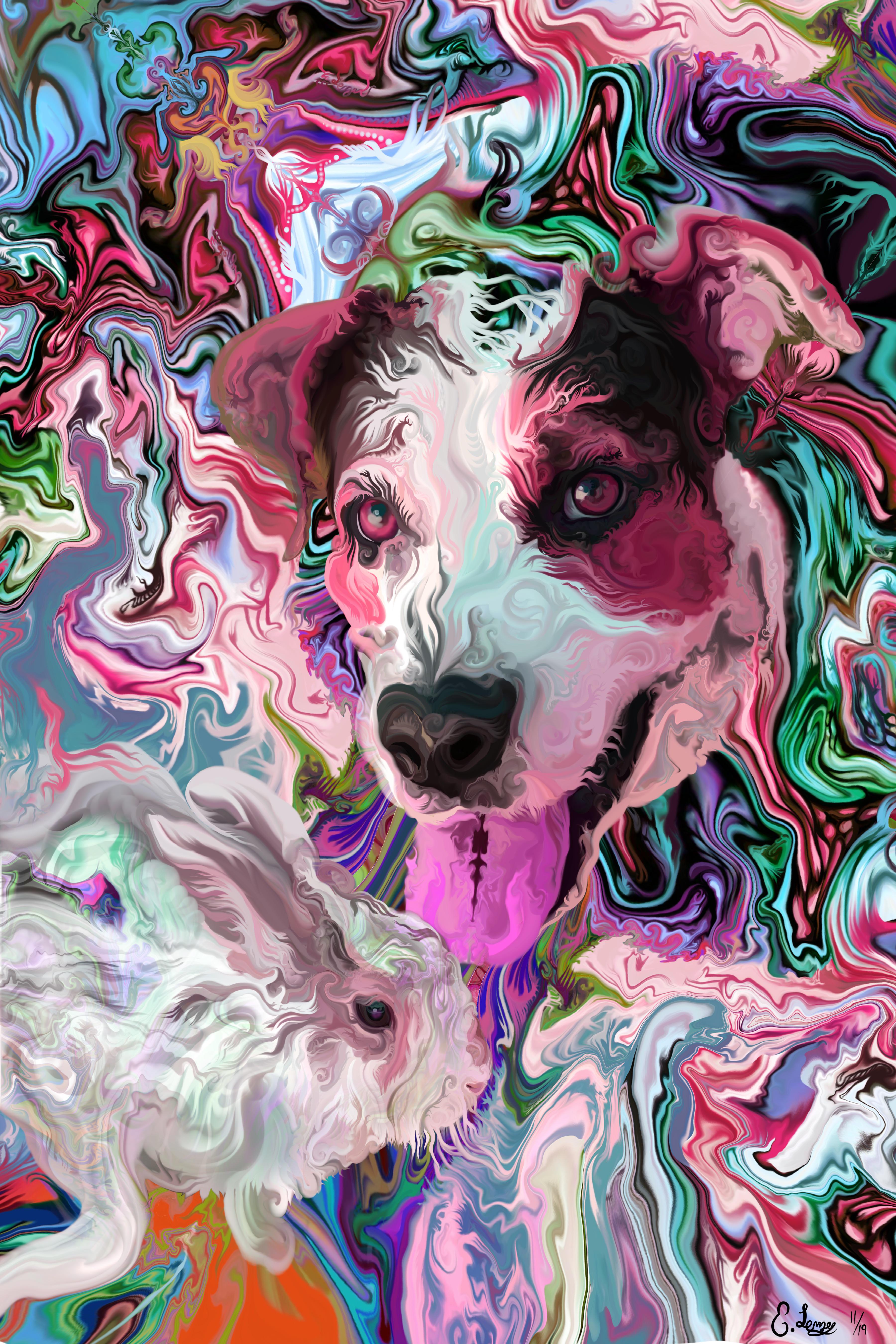 Psychedelic pet portraits | Scrolller