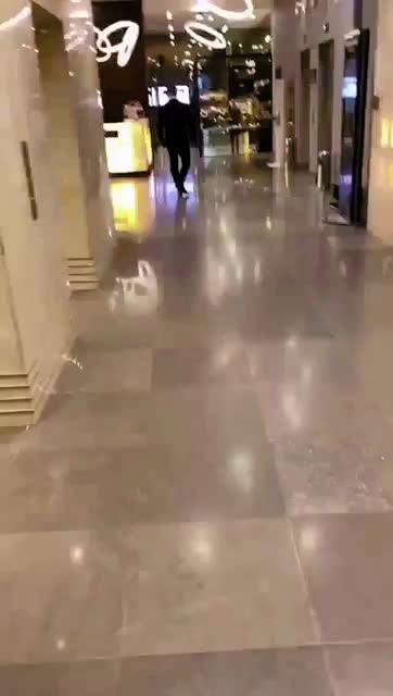 Public strap-on | Scrolller