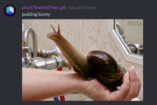 pudding bunny | Scrolller