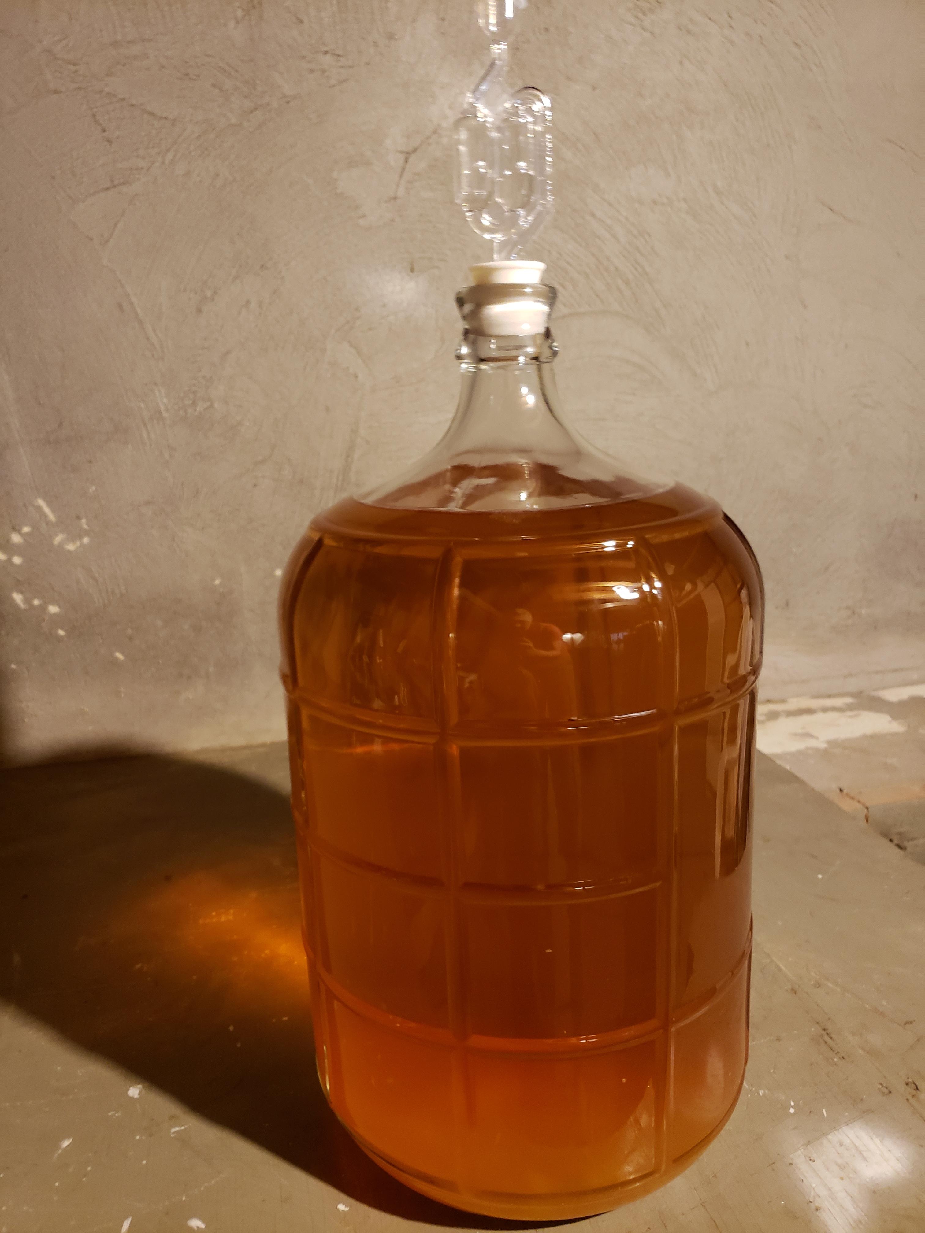 Pumped to Have Started My First Ever Batch! | Scrolller