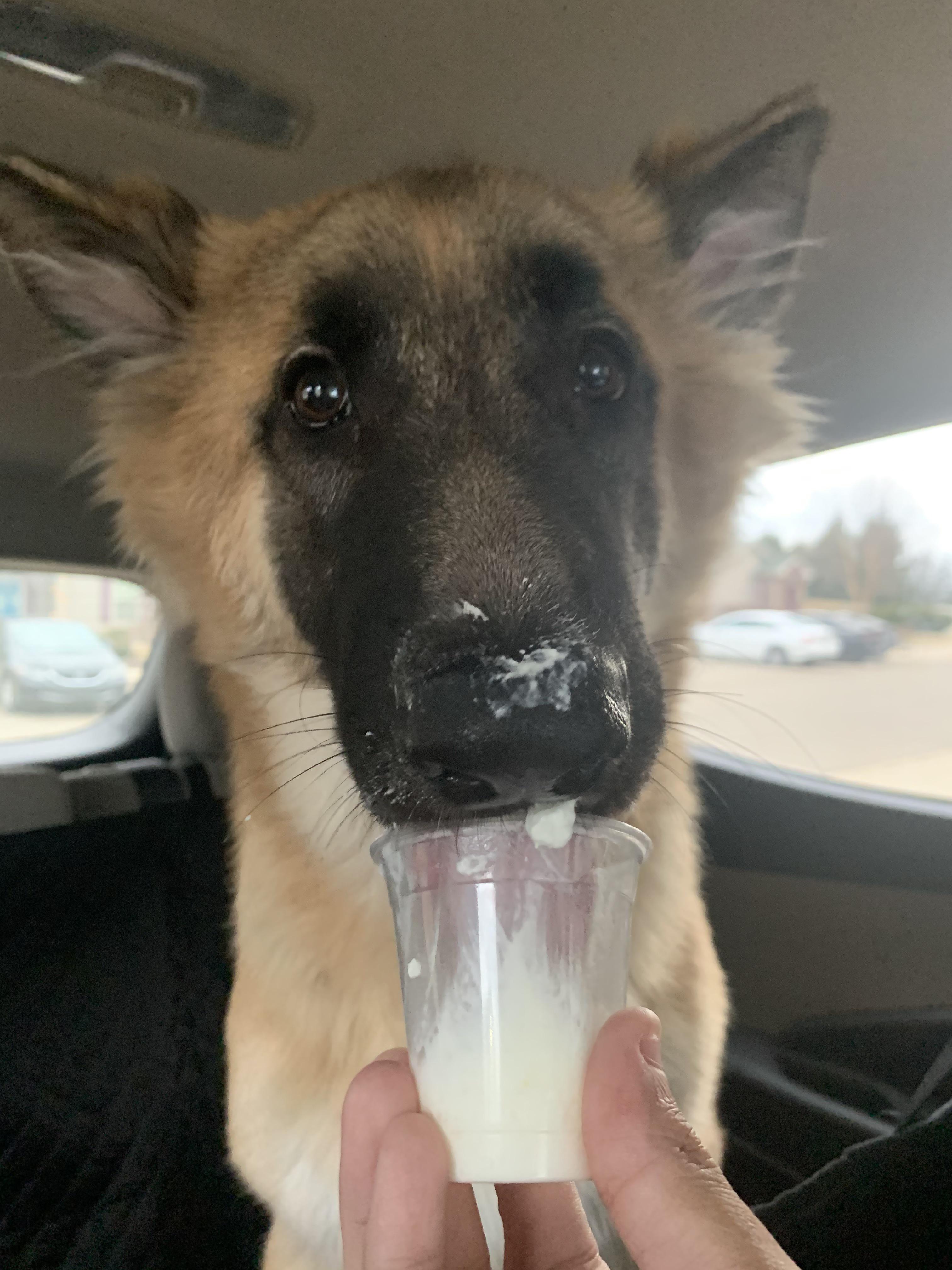 PUP CUP!! PUPPPP CUPPPP MMM GUUUD | Scrolller